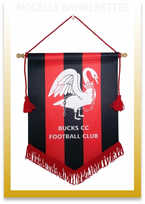 Rotary Banners | Custom Made Bannerettes and Pennants